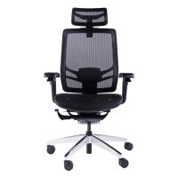 China 5D Armrest Lumbar Support Adjustment Desk Chair High Back Swivel Office Chairs for sale