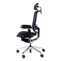China 5D Armrest Lumbar Support Adjustment Desk Chair High Back Swivel Office Chairs for sale