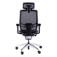 China 5D Armrest Lumbar Support Adjustment Desk Chair High Back Swivel Office Chairs for sale