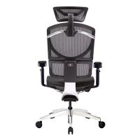 China Dynamic Support Swivel Office Chairs BAS System Ergonomic GT Office Chair for sale
