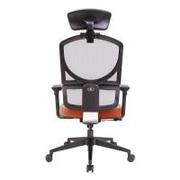China Back Automatic Supporting Ergo Desk Chair Breathable Wintex Mesh Ergo Swivel Chair for sale