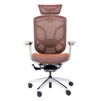 China BIFMA Ergonomic Office Chair Lumbar Support Chromed Butterfly Mesh Chair for sale