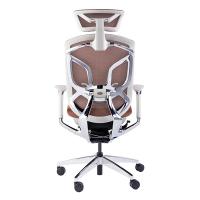 China BIFMA Ergonomic Office Chair Lumbar Support Chromed Butterfly Mesh Chair for sale