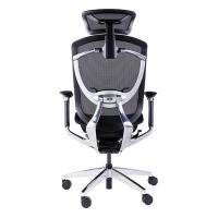 China All Mesh Aluminum Base Class 4 Gas Lift Luxury Ergonomic Executive Chair​ for sale