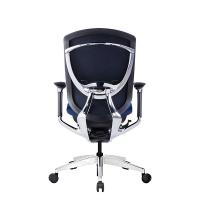 China IFIT Home Mesh Mid Back Ergonomic Office Chair Optional 3D Support Headrest for sale