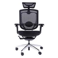 China Wintex Mesh High Back Swivel Chairs Ergo Gaming Chair Breathable for sale