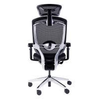 China Wintex Mesh High Back Swivel Chairs Ergo Gaming Chair Breathable for sale