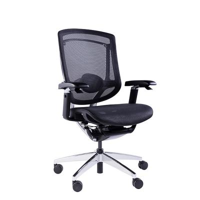 China Marrit PA Plastic Ergo Mesh Manager Chair 5D Wire Control Arms for sale