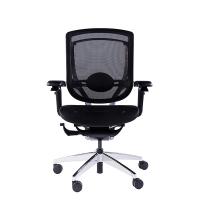 China Marrit PA Plastic Ergo Mesh Manager Chair 5D Wire Control Arms for sale