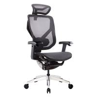 China Black PA Plastic Ergonomic Revolving Chair High Elastic Wintex Mesh Chair Lumbar Support for sale