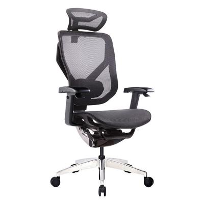 China Black PA Plastic Ergonomic Revolving Chair High Elastic Wintex Mesh Chair Lumbar Support for sale