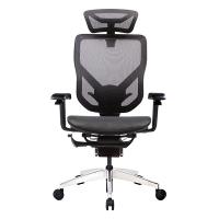 China Black PA Plastic Ergonomic Revolving Chair High Elastic Wintex Mesh Chair Lumbar Support for sale