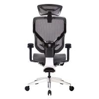 China Black PA Plastic Ergonomic Revolving Chair High Elastic Wintex Mesh Chair Lumbar Support for sale