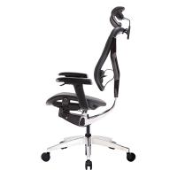 China Black PA Plastic Ergonomic Revolving Chair High Elastic Wintex Mesh Chair Lumbar Support for sale