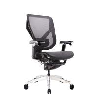 China BIFMA 65mm PU Castors Ergo Desk Chair Ergo Lumbar Support Office Chair for sale