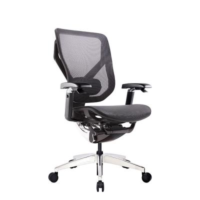 China BIFMA 65mm PU Castors Ergo Desk Chair Ergo Lumbar Support Office Chair for sale