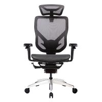 China Foam Lumbar Support Ergonomic Executive Chair 3D Support Headrest for sale