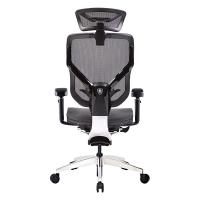 China Foam Lumbar Support Ergonomic Executive Chair 3D Support Headrest for sale