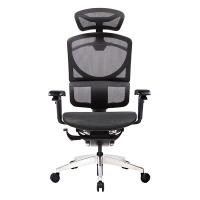 China Double Back Support Mesh Ergonomic Executive Chair Automatic Back Supporting Lumbar for sale