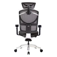 China Double Back Support Mesh Ergonomic Executive Chair Automatic Back Supporting Lumbar for sale