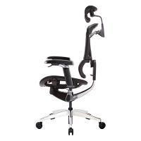 China Double Back Support Mesh Ergonomic Executive Chair Automatic Back Supporting Lumbar for sale