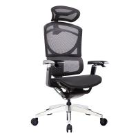 China Double Back Support Mesh Ergonomic Executive Chair Automatic Back Supporting Lumbar for sale