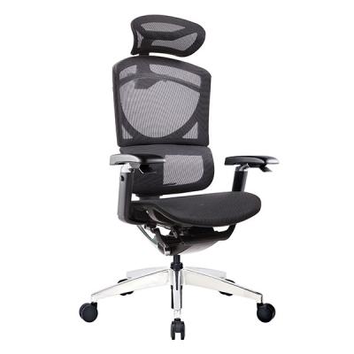China Double Back Support Mesh Ergonomic Executive Chair Automatic Back Supporting Lumbar for sale