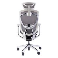 China Home Office Mesh Computer Task Arm Adjustable Ergonomic Executive Chair for sale