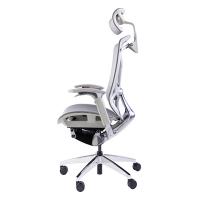 China Breathable Mesh, Adjustable Headrest and Lumbar Support, Ergonomic Office Chair for sale