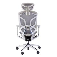 China Breathable Mesh, Adjustable Headrest and Lumbar Support, Ergonomic Office Chair for sale