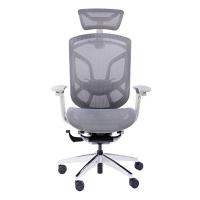 China Breathable Mesh, Adjustable Headrest and Lumbar Support, Ergonomic Office Chair for sale