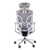 China Grey White Dvary Swivel Chairs High Back Mesh Ergonomic Office Chair for sale