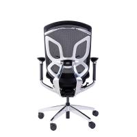 China Dvary Middle Back Ergonomic Chair Lumbar Support Adjustable Swivel Office Chairs for sale