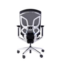 China Dvary Butterfly Mesh Chair Premium Swivel Ergonomic Office Chair for sale