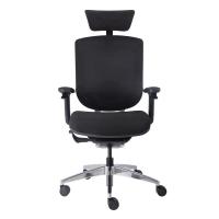 China Wintex Mesh High Back Executive Chair Mesh Office Chairs Lumbar Support Chair for sale