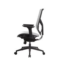 China Black PA Lumbar Support Chair Nylon Base Staff Office Chair Computer Ergonomic Seating for sale