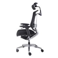China Wintex Mesh High Back Executive Chair Mesh Office Chairs Lumbar Support Chair for sale