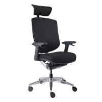 China Wintex Mesh High Back Executive Chair Mesh Office Chairs Lumbar Support Chair for sale