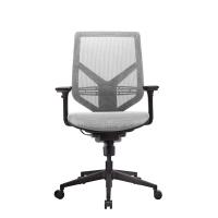 China Black PA Lumbar Support Chair Nylon Base Staff Office Chair Computer Ergonomic Seating for sale