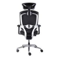 China Wintex Mesh High Back Executive Chair Mesh Office Chairs Lumbar Support Chair for sale