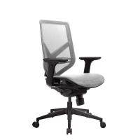 China Black PA Lumbar Support Chair Nylon Base Staff Office Chair Computer Ergonomic Seating for sale