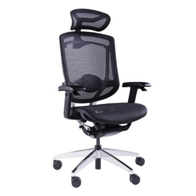China Marrit Ergonomic Full Mesh Office Chairs With 4D Armrest for sale