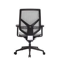 China Black PA Lumbar Support Chair Nylon Base Staff Office Chair Computer Ergonomic Seating for sale