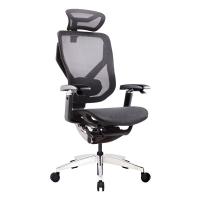 China 5D Paddle Shift Ergo Gaming Chair High Back Mesh Office Chair for sale
