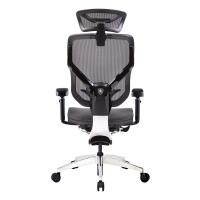 China 5D Paddle Shift Ergo Gaming Chair High Back Mesh Office Chair for sale
