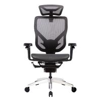 China 5D Paddle Shift Ergo Gaming Chair High Back Mesh Office Chair for sale