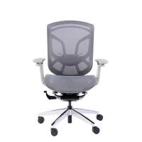 China Modern Design Stylish Office Seating Dvary Home Office Comuter Chair Online Office Chairs for sale