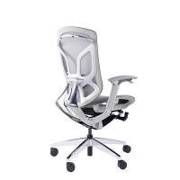 China Modern Design Stylish Office Seating Dvary Home Office Comuter Chair Online Office Chairs for sale