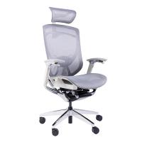 China Cable Control IFIT Ergonomic Chair Adjustable Swivel Chair Lumbar Support Chair for sale