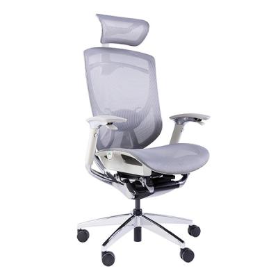 China Cable Control IFIT Ergonomic Chair Adjustable Swivel Chair Lumbar Support Chair for sale